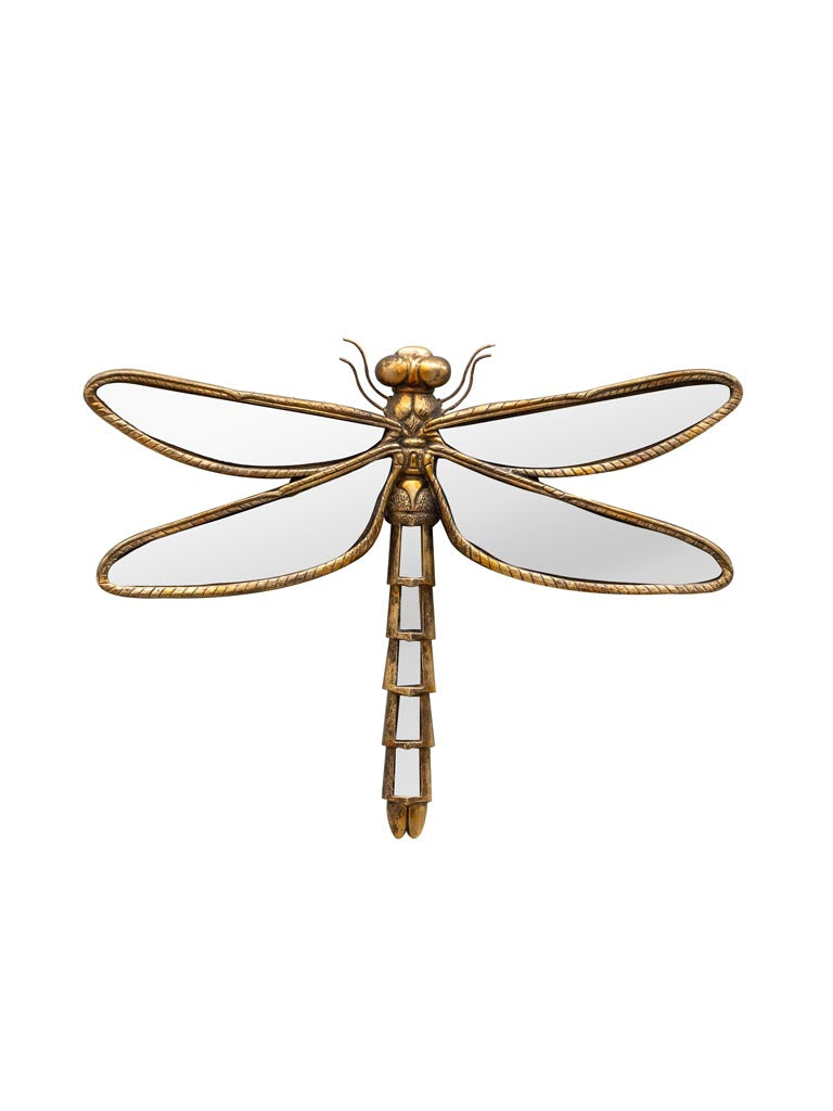 Mirrored Dragonfly – SYNPLE